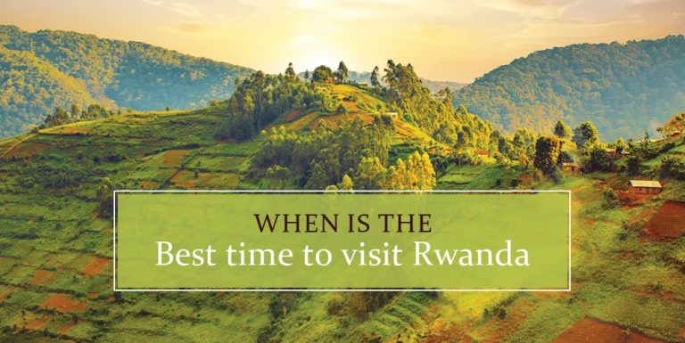 Best Time to Visit Rwanda - Salt Holidays